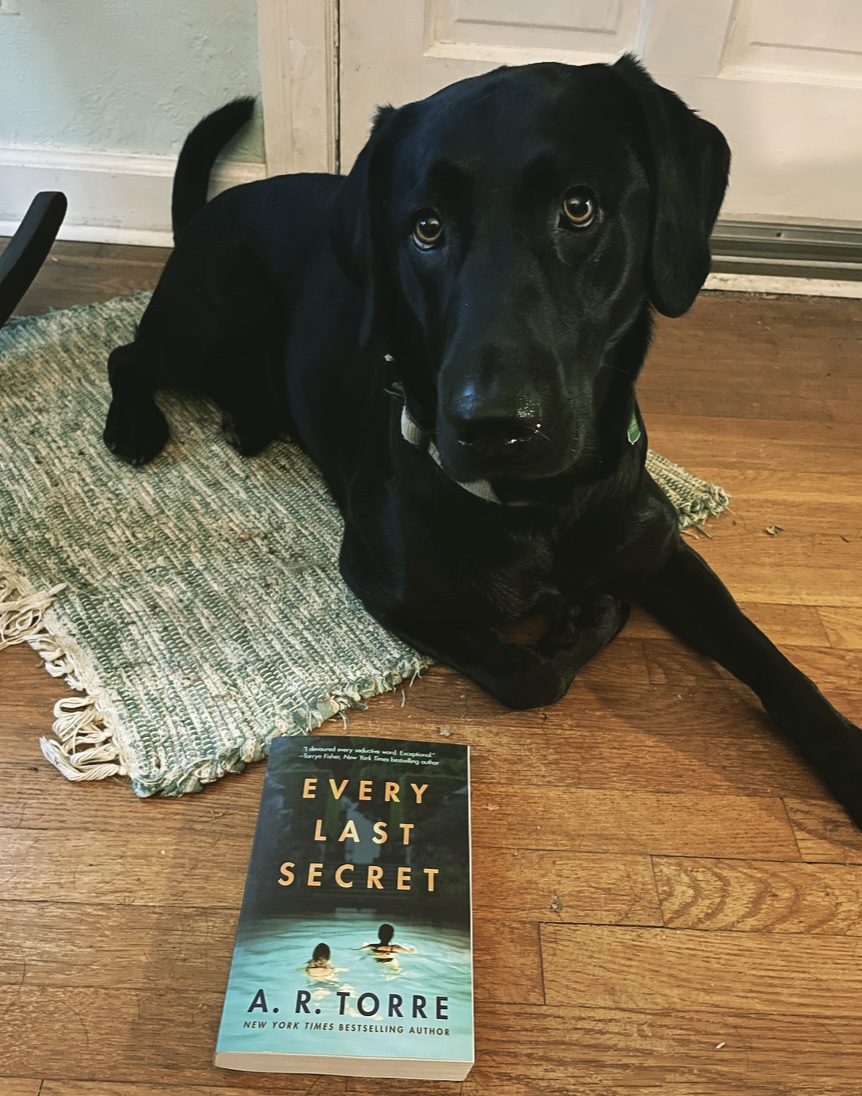 Every Last Secret-A.R. Torre